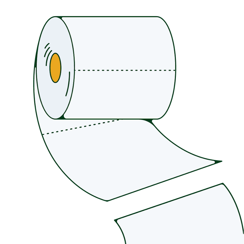 Your Pelvic Floor Everything You Need To Know